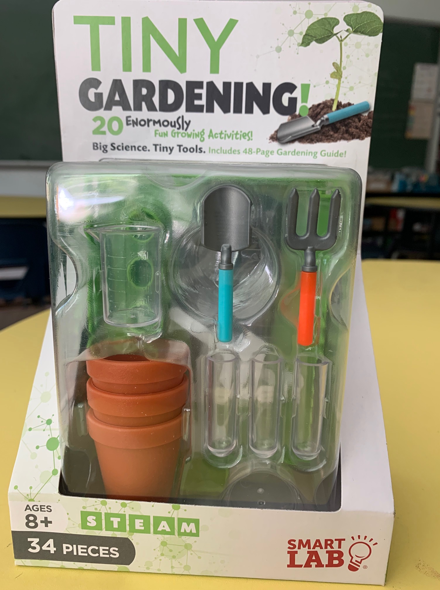 Spring into Science: Tiny Gardens, Terrariums, and Ecosystems ...
