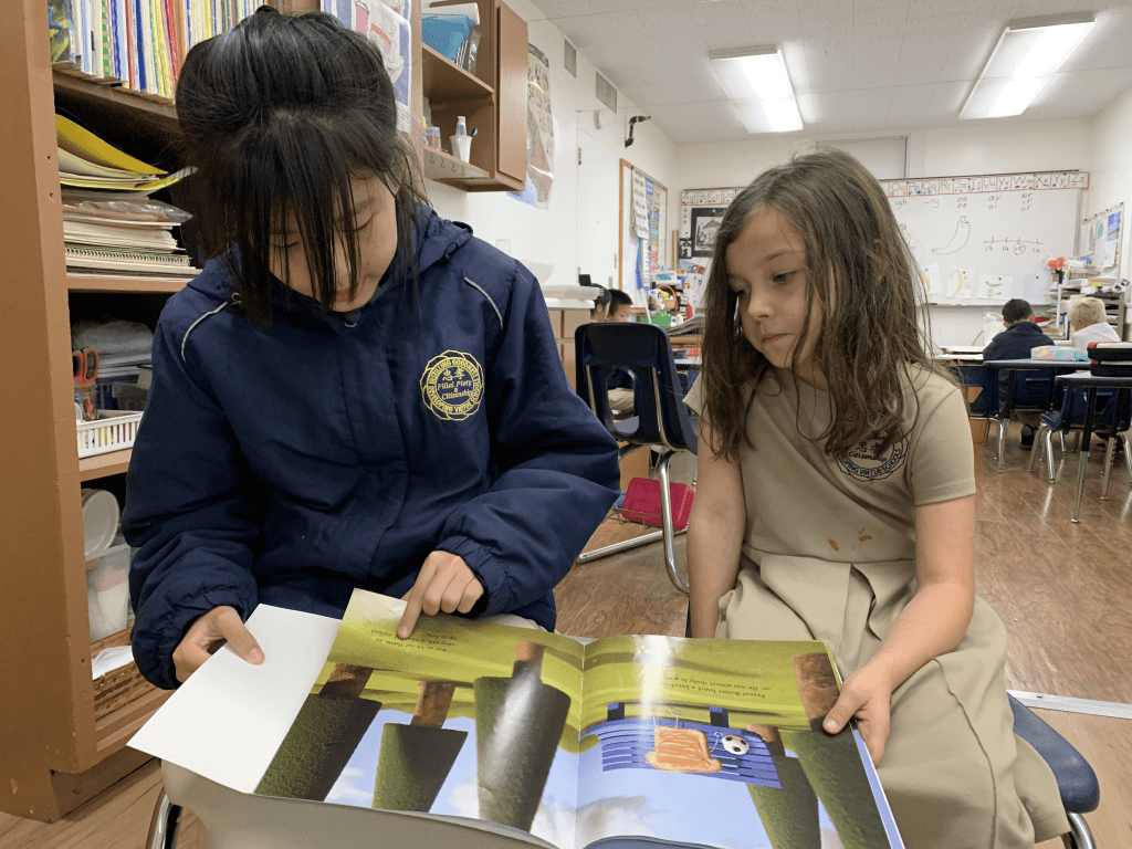 Learning Snapshots: Reading Buddies in Action – Instilling Goodness ...